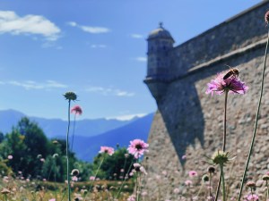 1 Day in Mont Louis : The Pyrenean City of the Sun King – Baguettes and ...